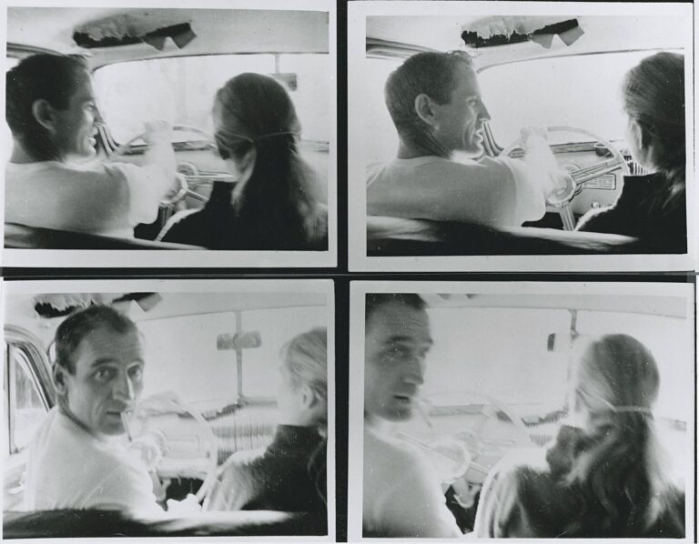 Anne Murphy's "Tripping With A Viper" about Neal Cassady - Brianland